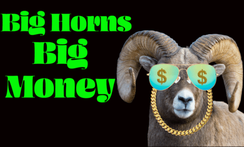 Back from the Dead: Montana Bighorn Sheep Restoration